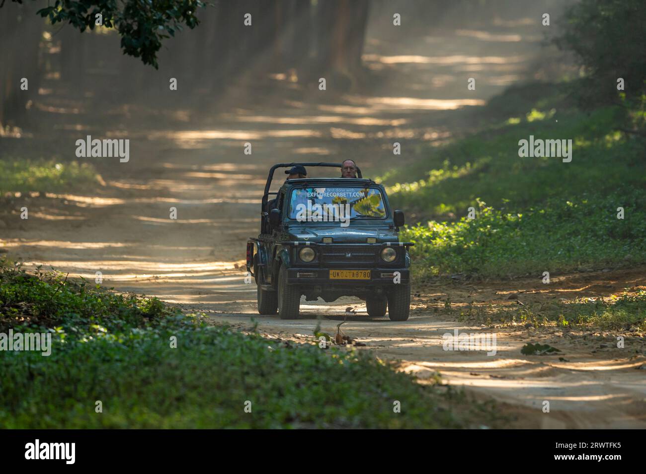 Jim corbett national park jeep hi-res stock photography and images - Alamy