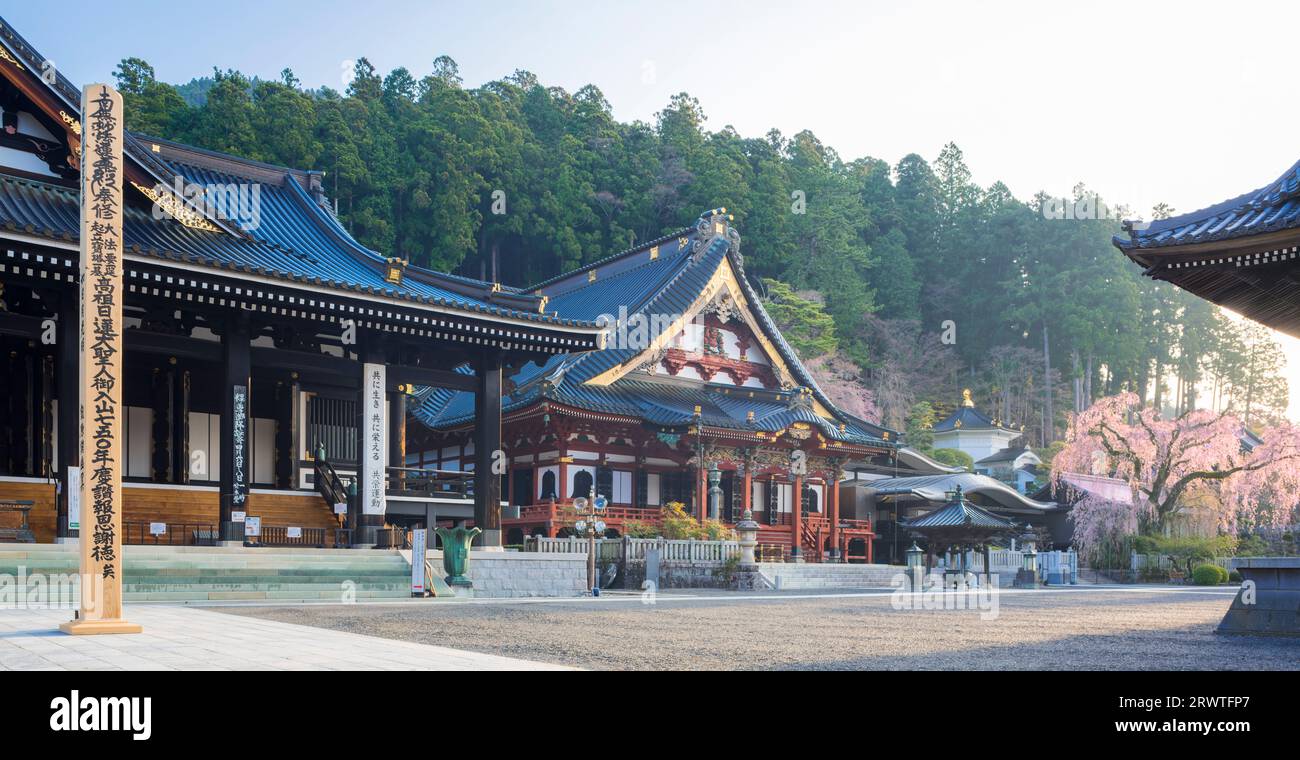 The main hall and the ancestral hall in the morning sun at Kuonji ...