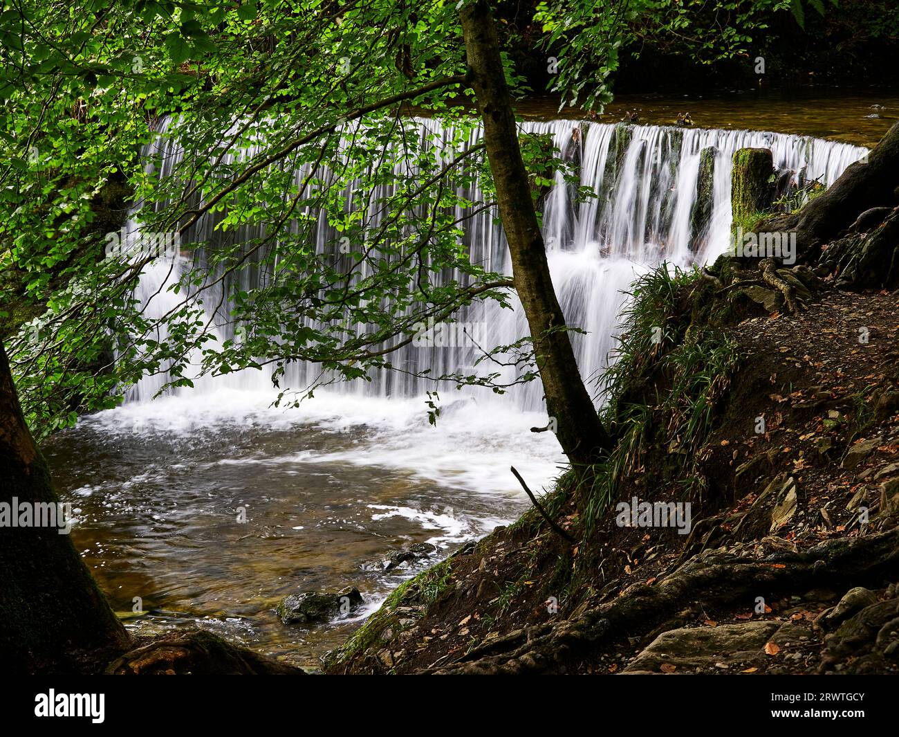 Stock Ghyll waterfall - lower falls Stock Photo - Alamy