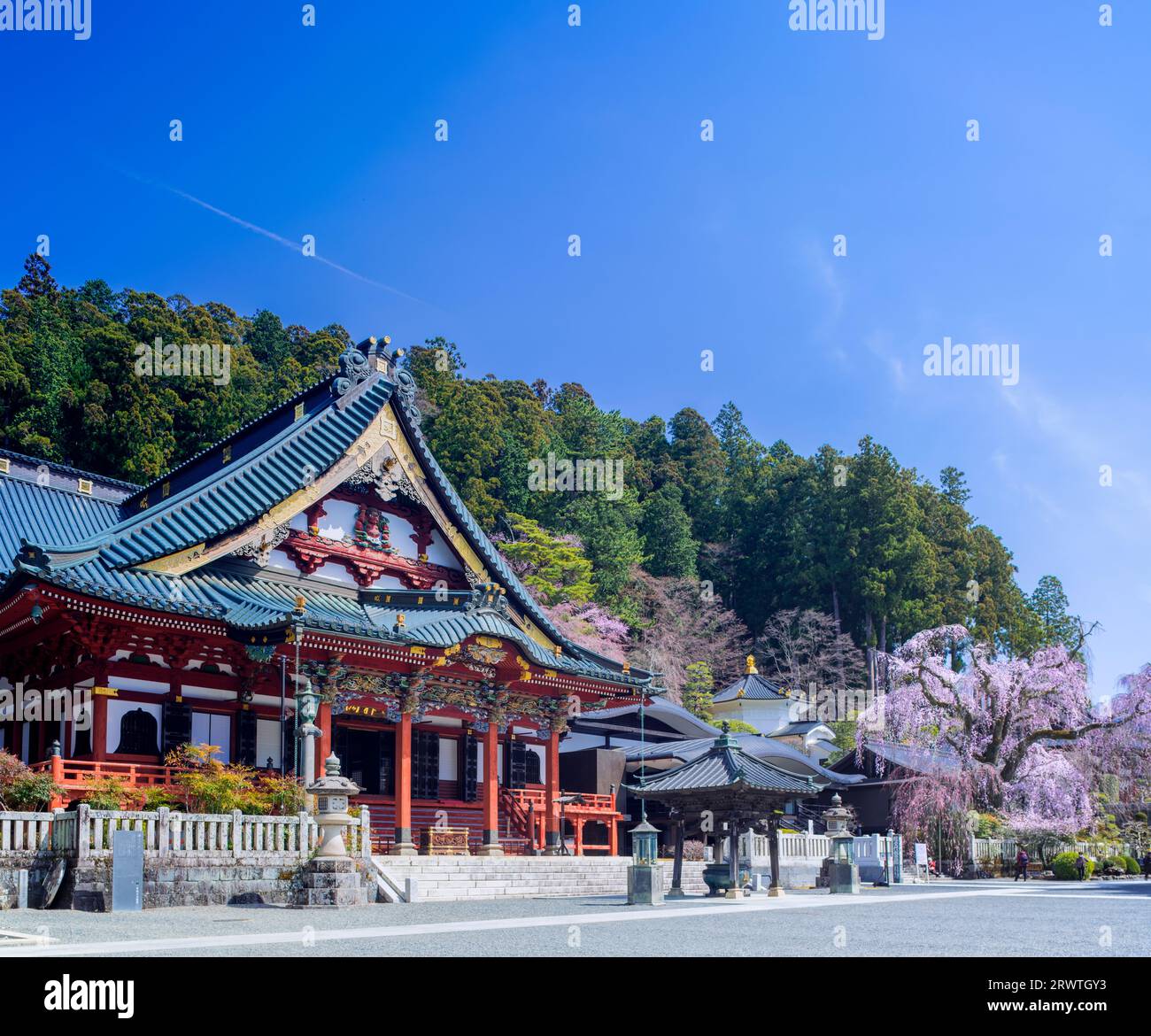 Cherry blossoms and Soshido Hall at Kuonji Temple in Minobu-san ...