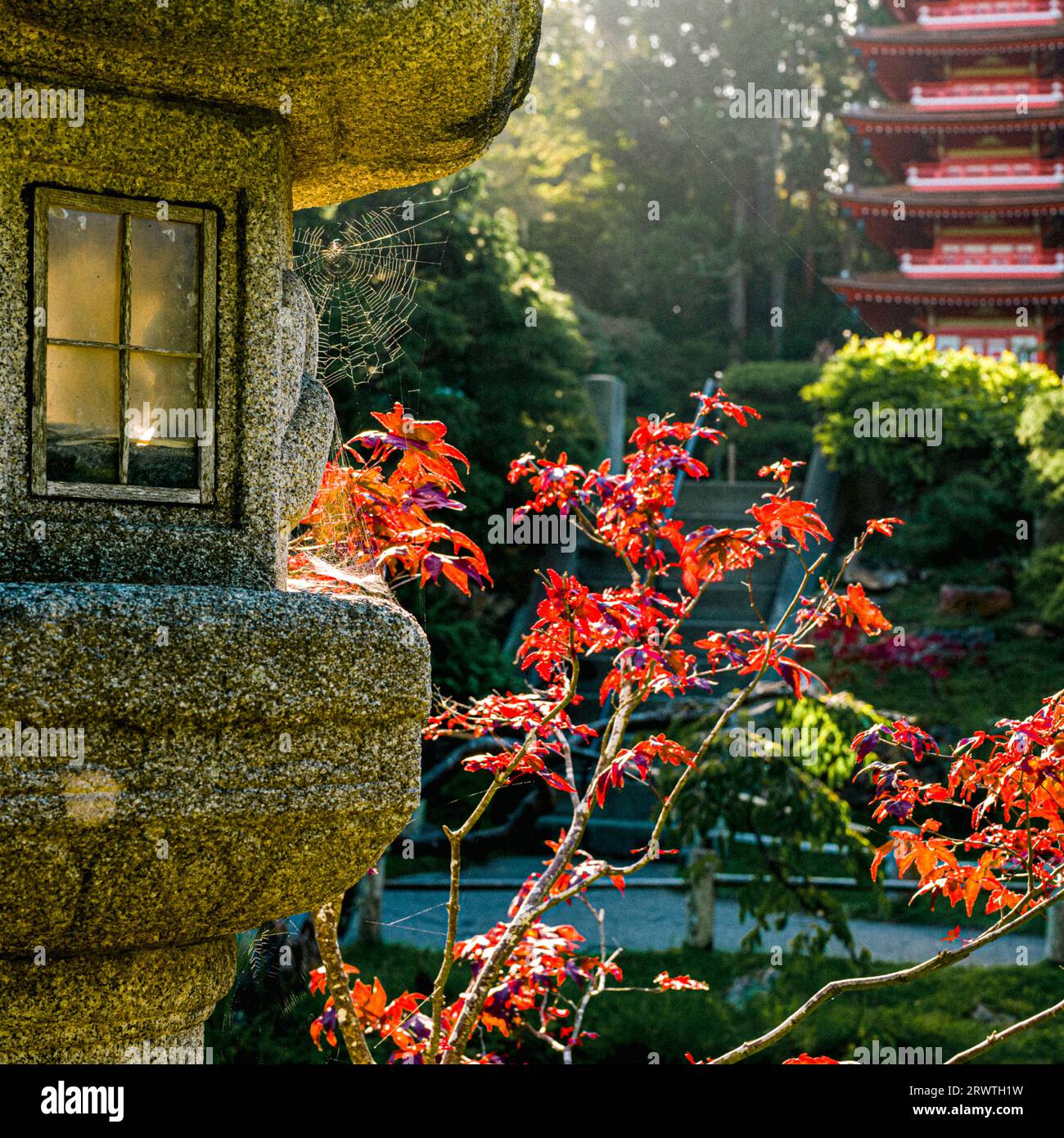 Japanese tea garden hi-res stock photography and images - Alamy