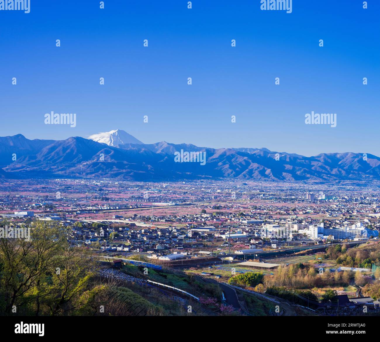Yamanashi Prefecture Landscapes Peach blossoms in the city of Yamanashi ...
