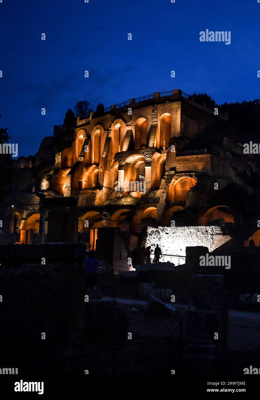 **NO WEBSITES AND NEWSPAPERS ONLY FOR ITALY** Rome, Domus Tiberiana ...