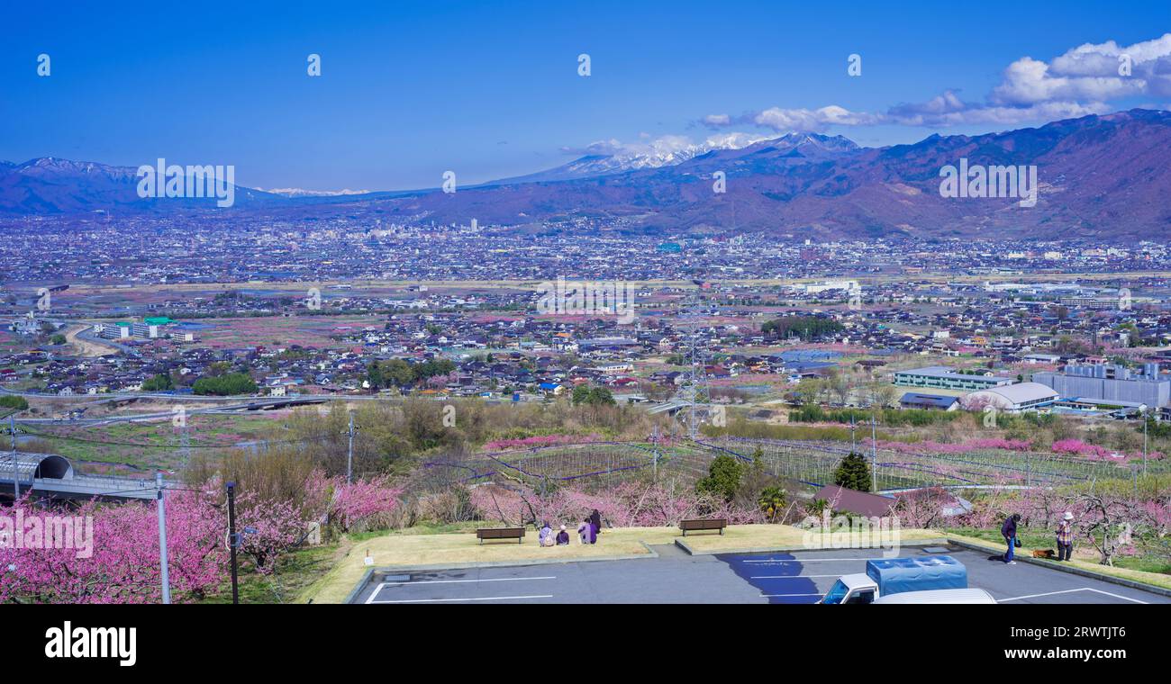 Yamanashi Landscapes Peach blossoms in Kofu Basin Fuefuki-Kofu City and ...