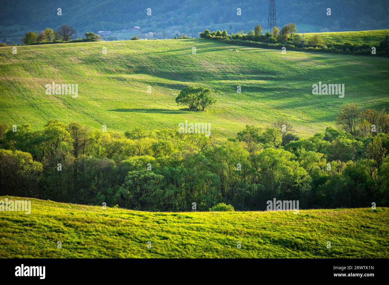 Beautiful fields meadows in countryside hi-res stock photography and ...