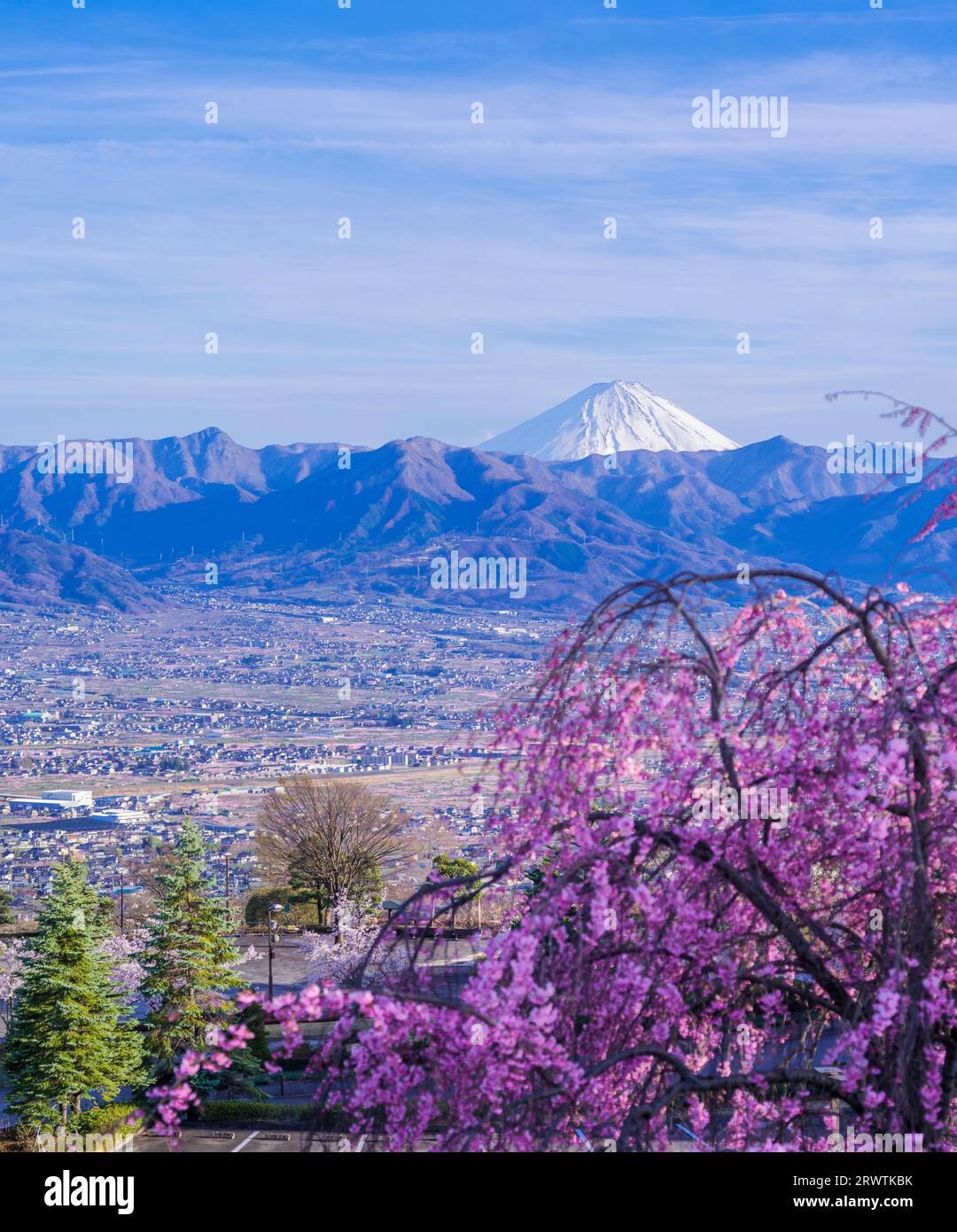 Yamanashi Landscapes Cherry blossoms and Kofu Basin Distant view of Mt ...