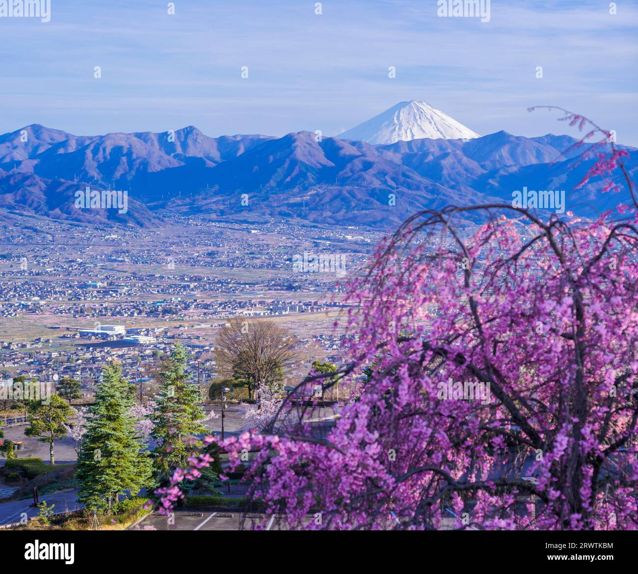 Yamanashi Landscapes Cherry blossoms and Kofu Basin Distant view of Mt ...