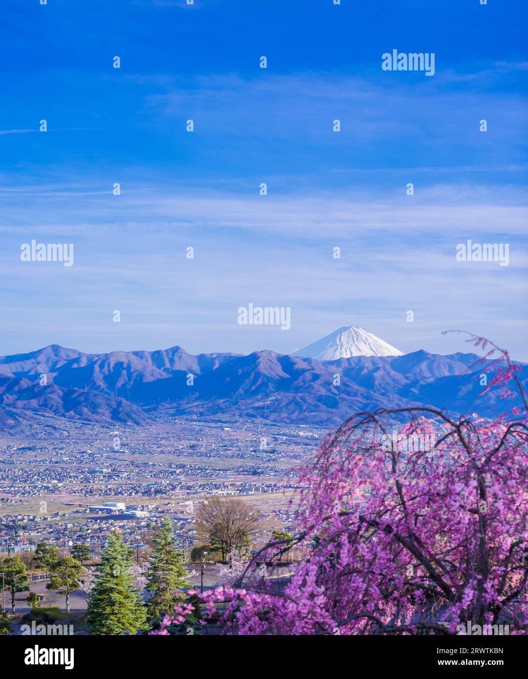 Yamanashi Landscapes Cherry blossoms and Kofu Basin Distant view of Mt ...
