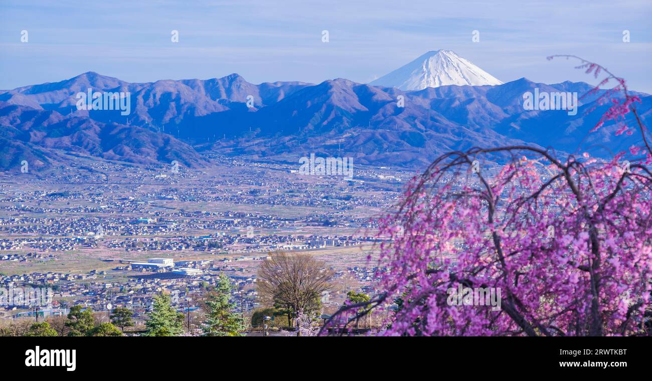 Yamanashi Landscapes Cherry blossoms and Kofu Basin Distant view of Mt ...