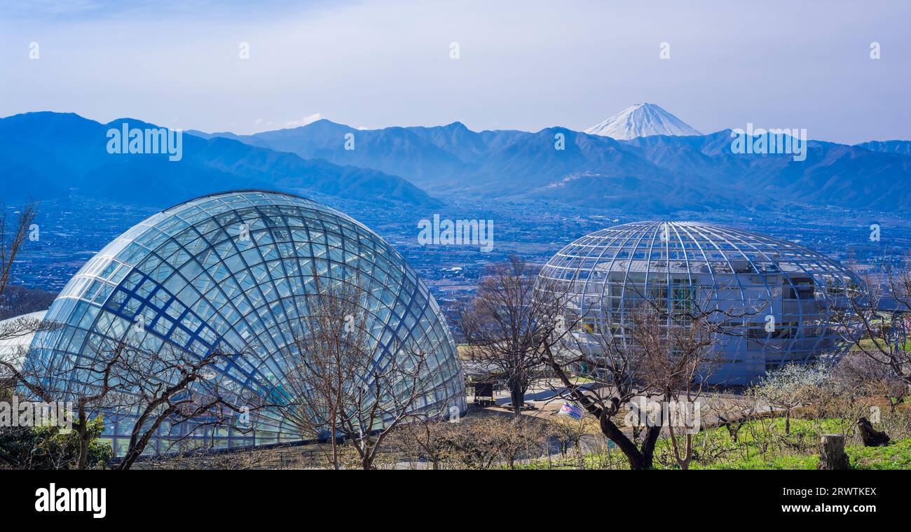 Fuefukigawa Fruit Park - a dome and Mt. Fuji in the distance Stock ...