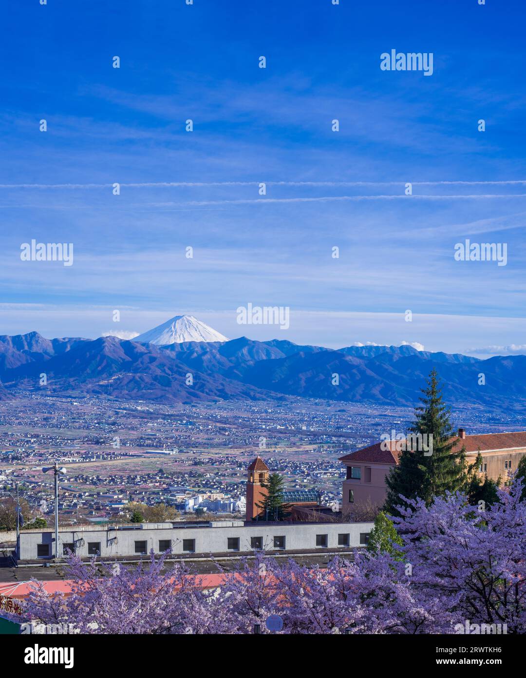 Yamanashi Landscapes Cherry blossoms and Kofu Basin, distant view of Mt ...