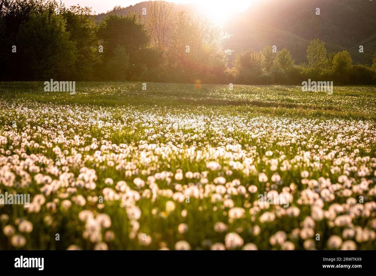 The most beautiful spring scenery hi-res stock photography and images ...