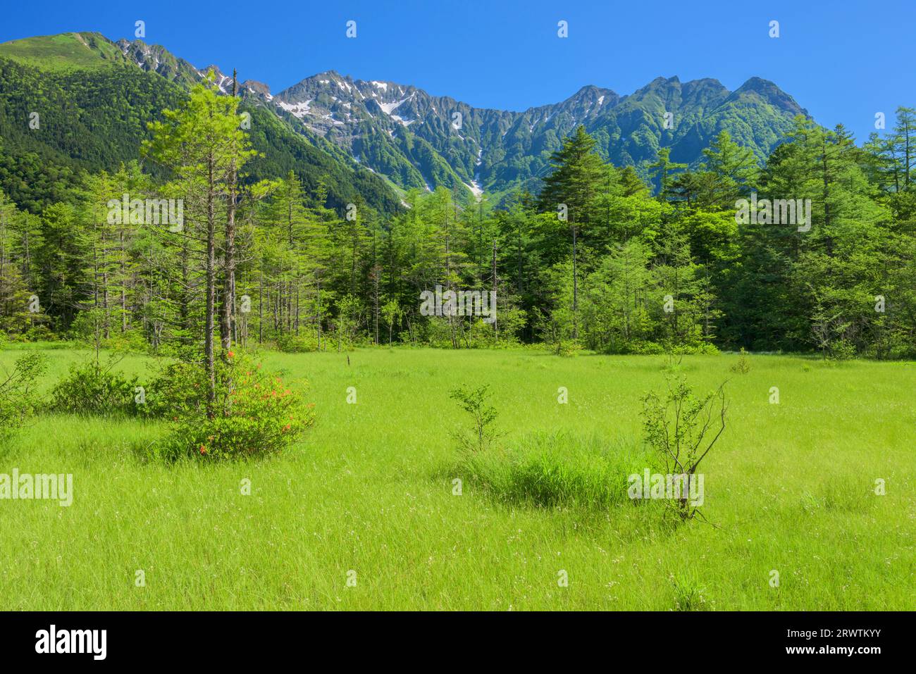 Tashiro wetlands hi-res stock photography and images - Alamy