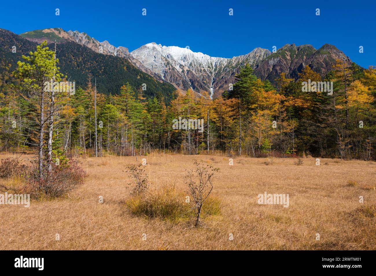 Tashiro wetlands hi-res stock photography and images - Alamy