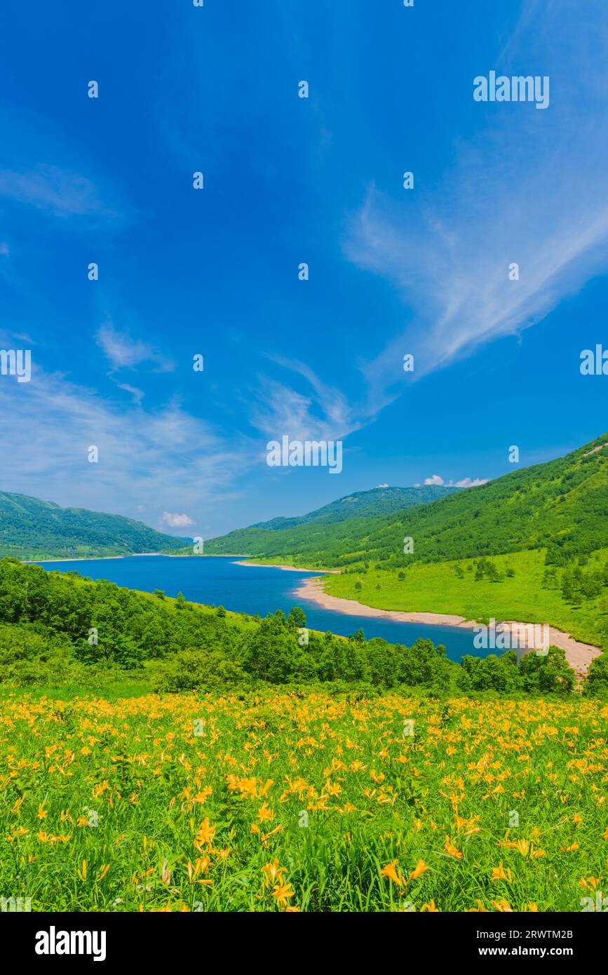 Lake Notan in bloom Stock Photo - Alamy