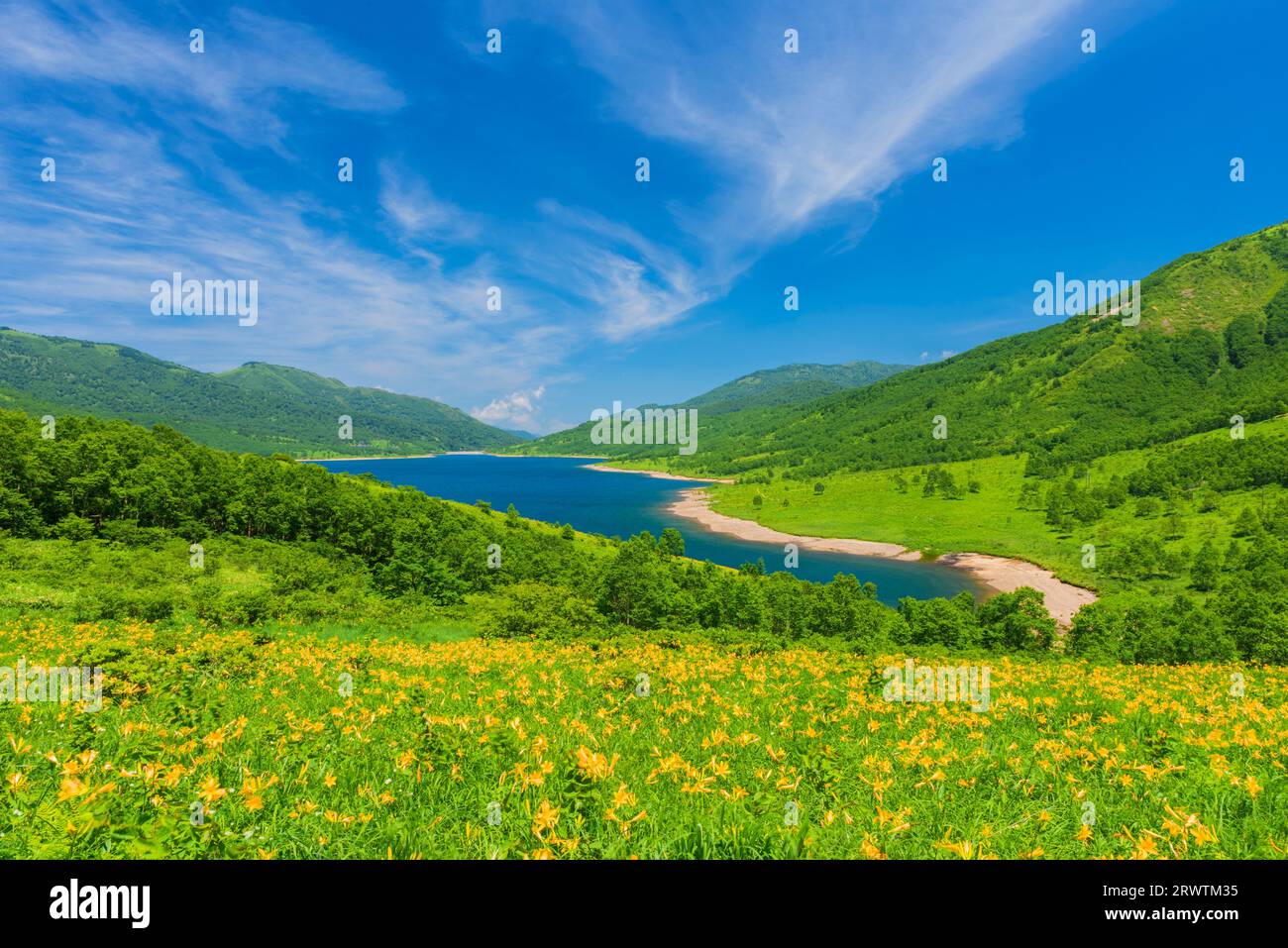 Lake Notan in bloom Stock Photo - Alamy