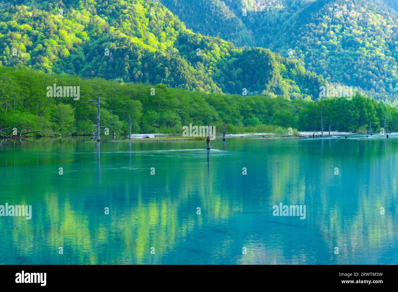 Taisho Pond in Kamikochi Stock Photo - Alamy