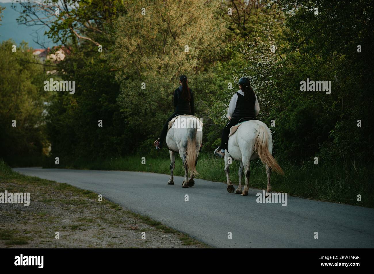 Two Women Enjoy a Scenic Horseback Ride Amidst the Beauty of Spring ...