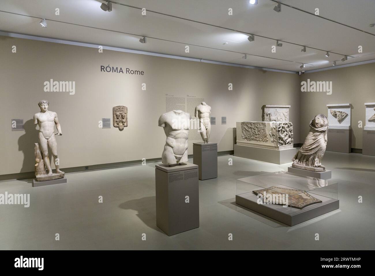 Roman museum artefact hi-res stock photography and images - Alamy
