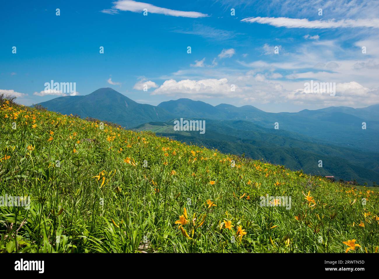 The Yatsugatake mountain range and the Kirigamine Plateau where ...