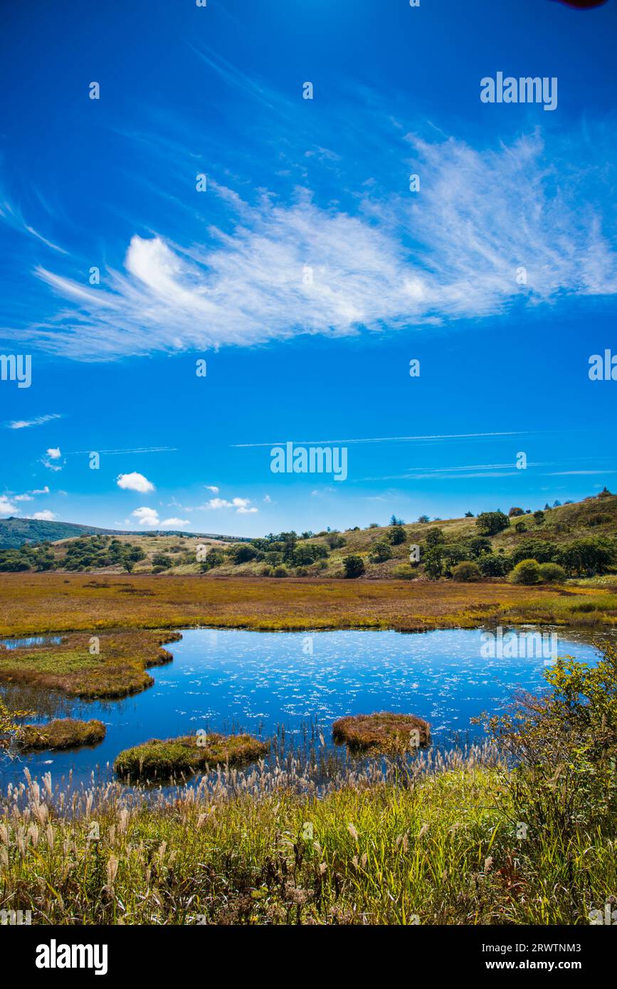 Yashimagaike Pond and Yashimagahara Marshland autumn scenery Stock ...