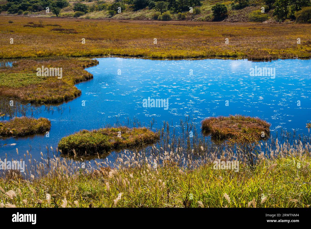 Yashimagaike Pond and Yashimagahara Marshland autumn scenery Stock ...