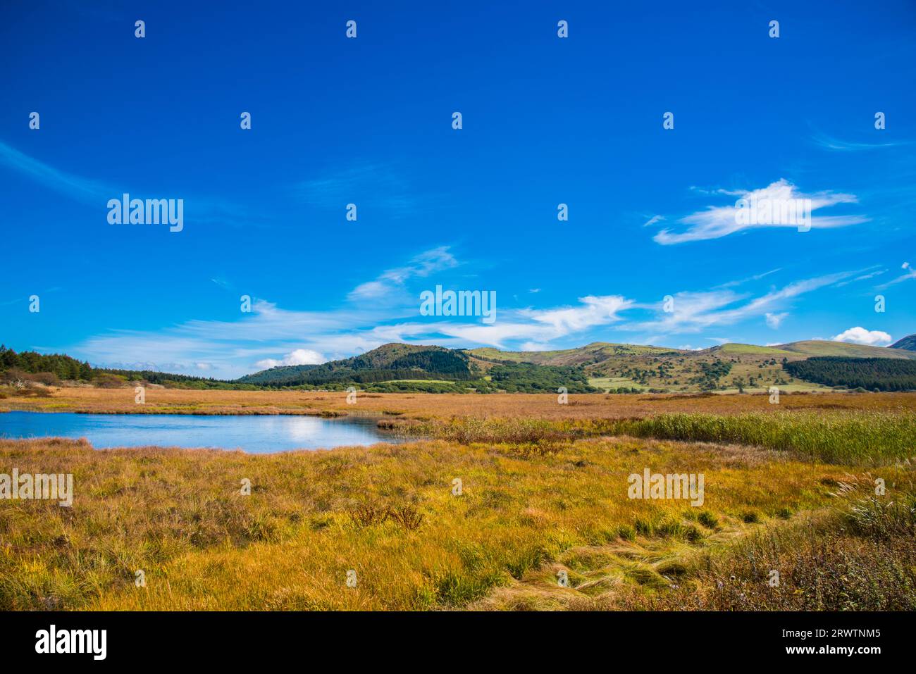 Yashimagaike Pond and Yashimagahara Marshland autumn scenery Stock ...
