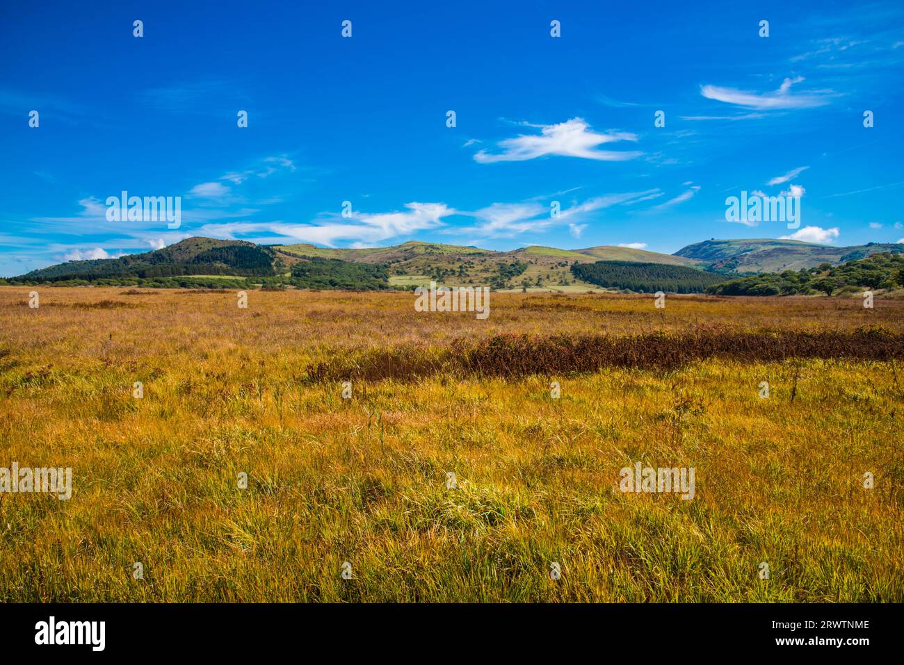 Yashimagahara Marshland Autumn scenery Stock Photo - Alamy