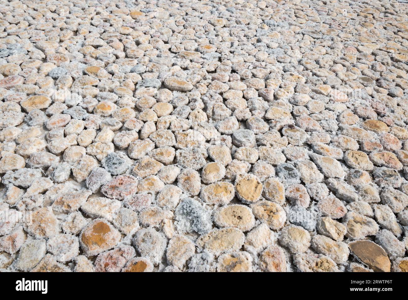 The floor with salt Stock Photo - Alamy
