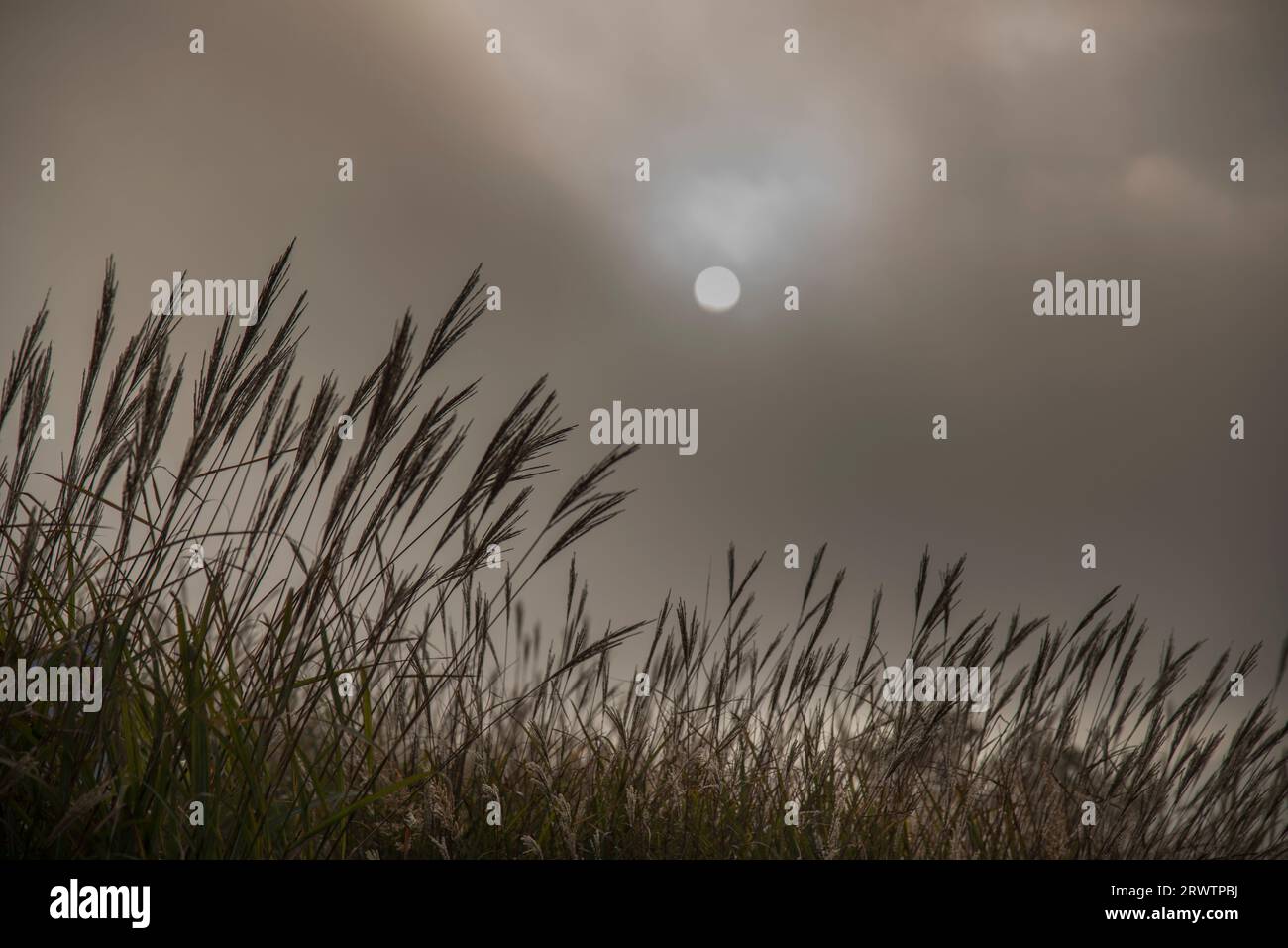 Hiding the sun hi-res stock photography and images - Alamy