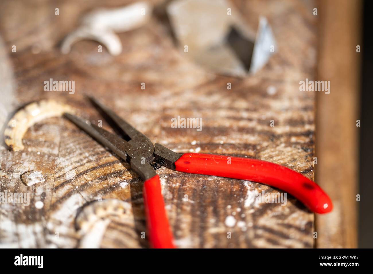 Making shell shells hi-res stock photography and images - Alamy