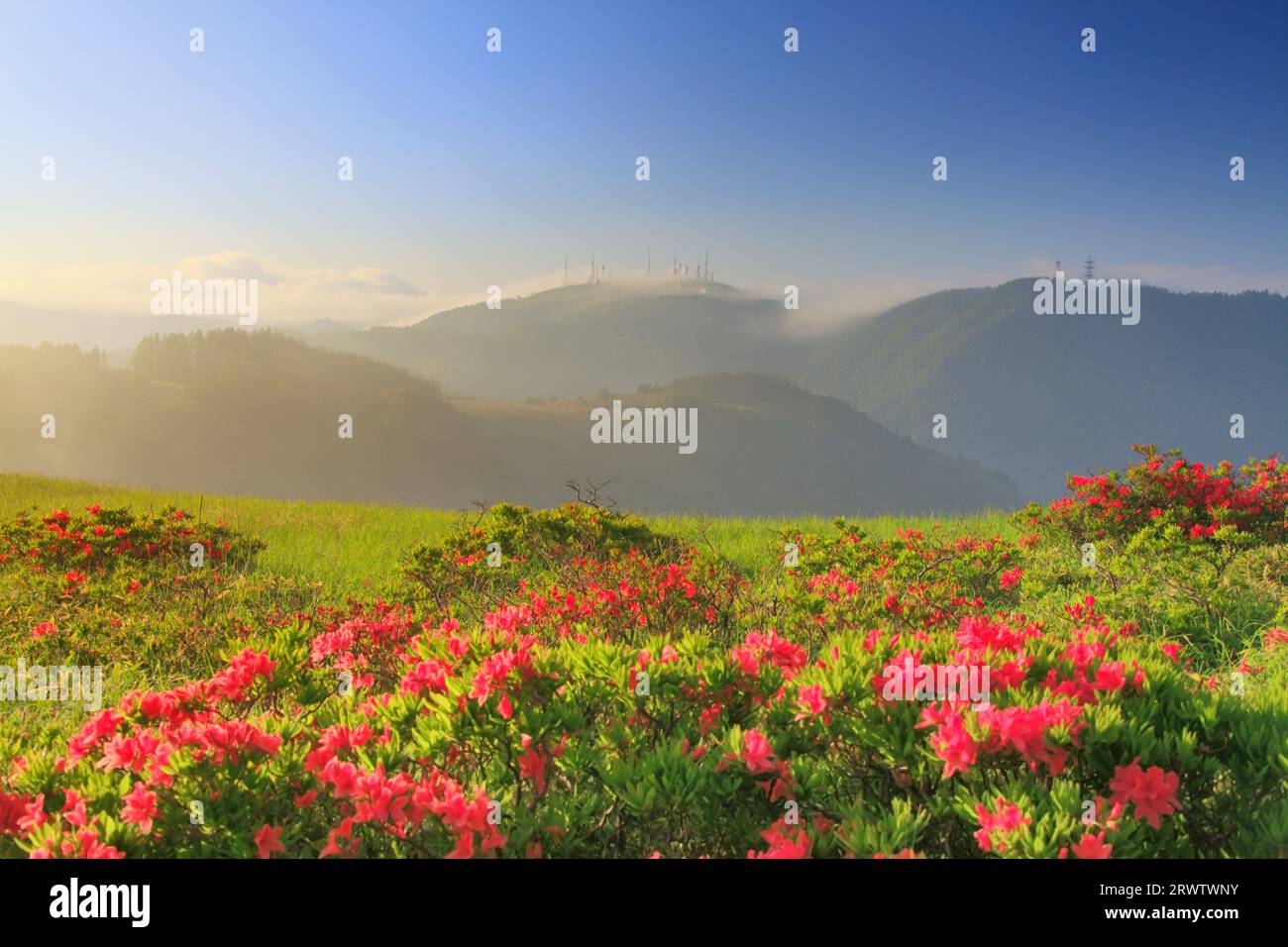 Takeshimine hi-res stock photography and images - Alamy