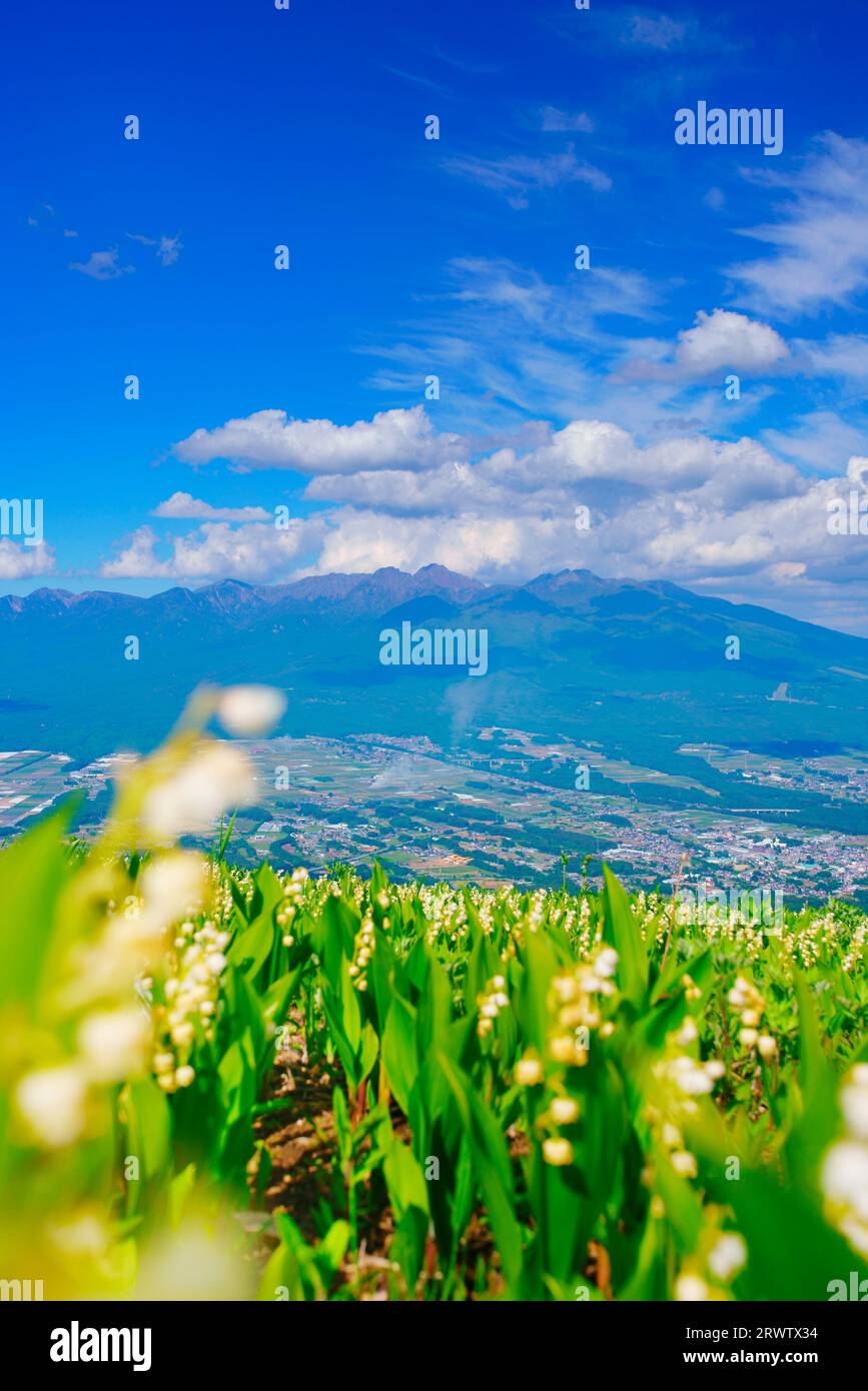 Nyukasayama hi-res stock photography and images - Alamy