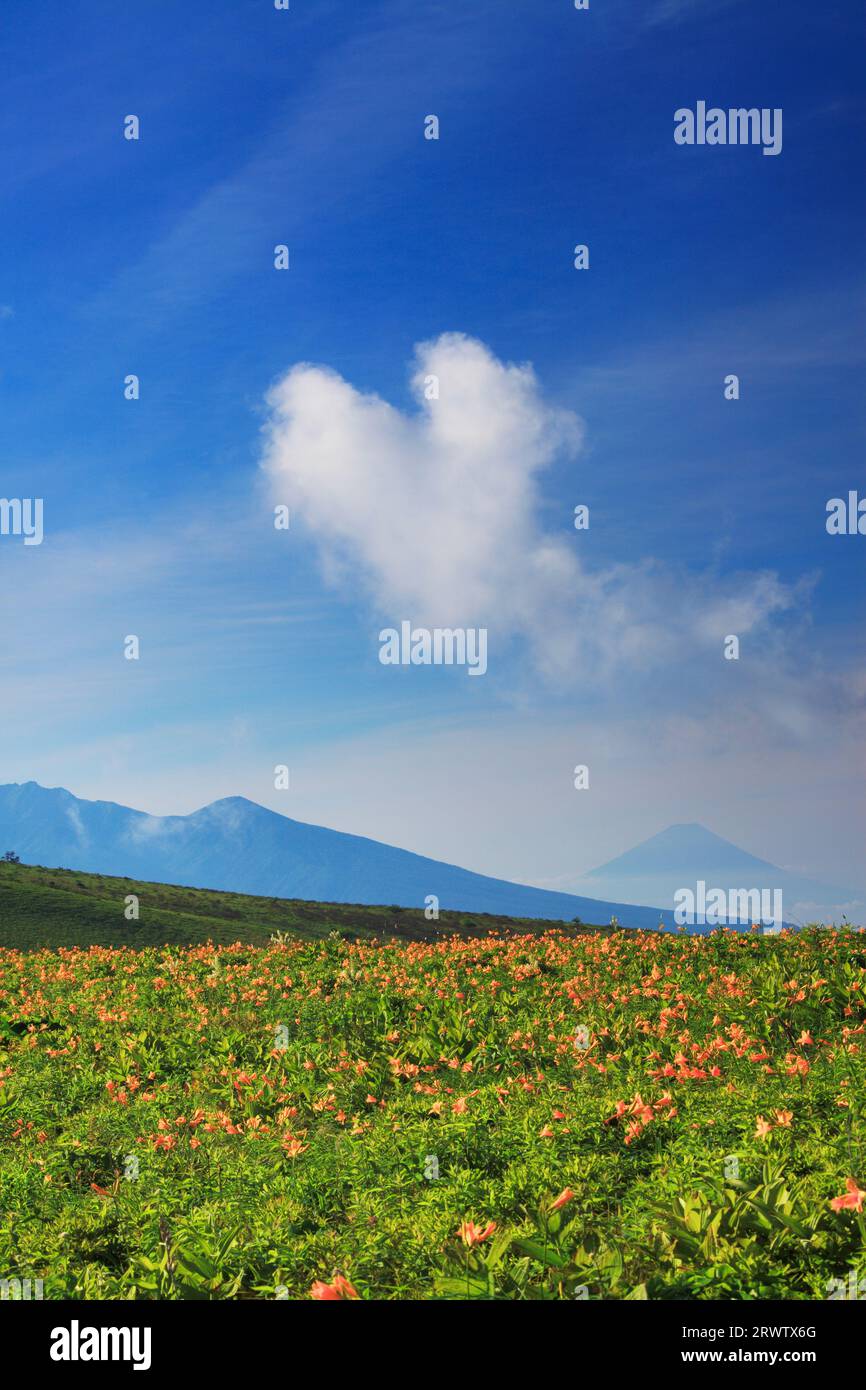 Nikkoukisuge, Mt. Fuji and heart-shaped clouds Stock Photo - Alamy
