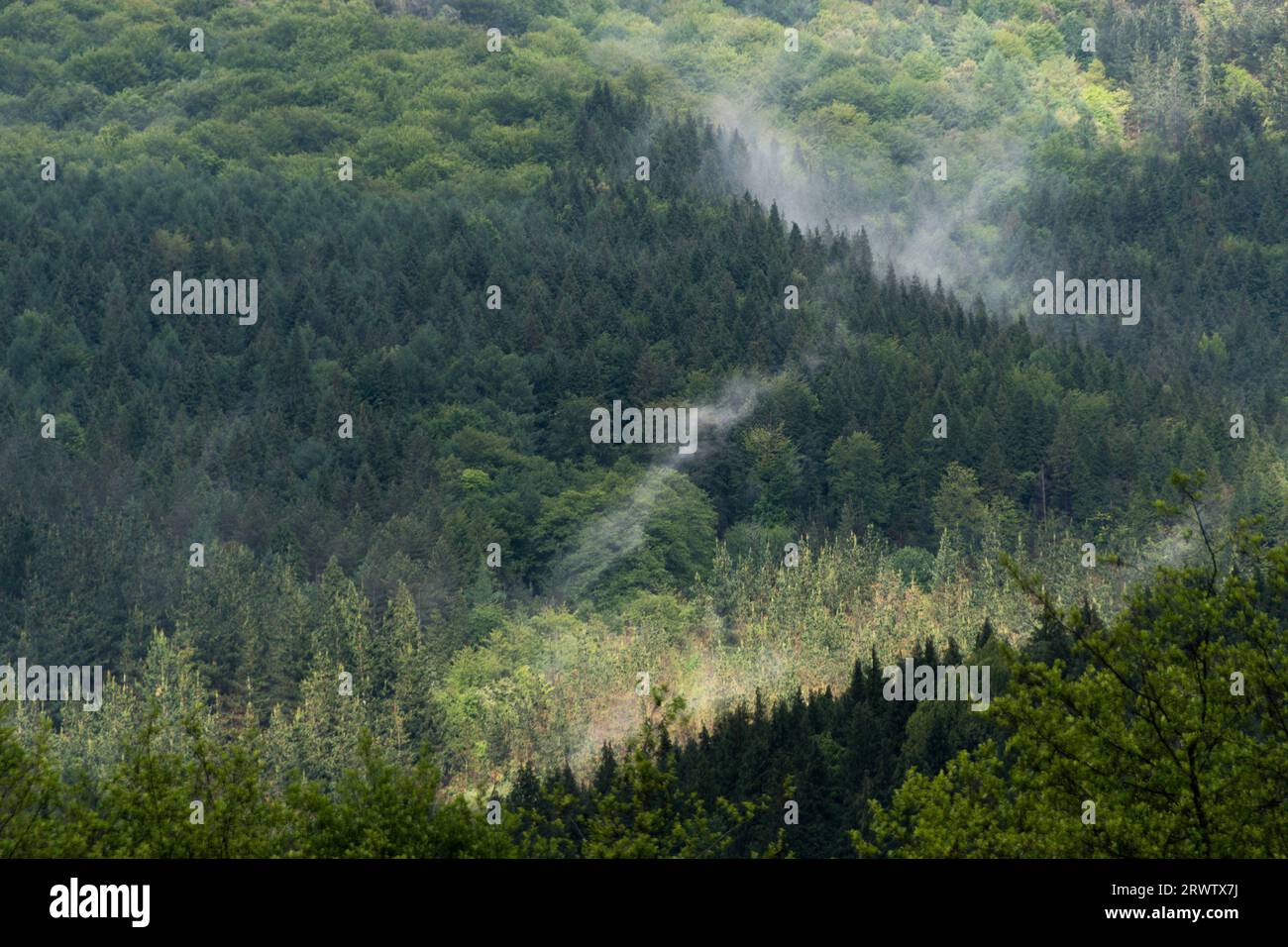 Basque country nature landscape hi-res stock photography and images - Alamy