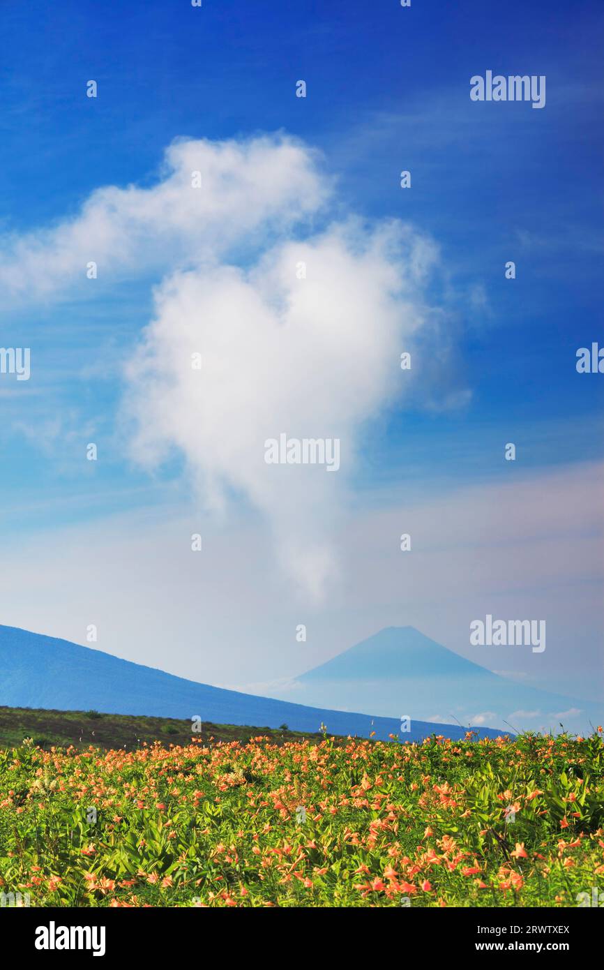Nikkoukisuge, Mt. Fuji and heart-shaped clouds Stock Photo - Alamy