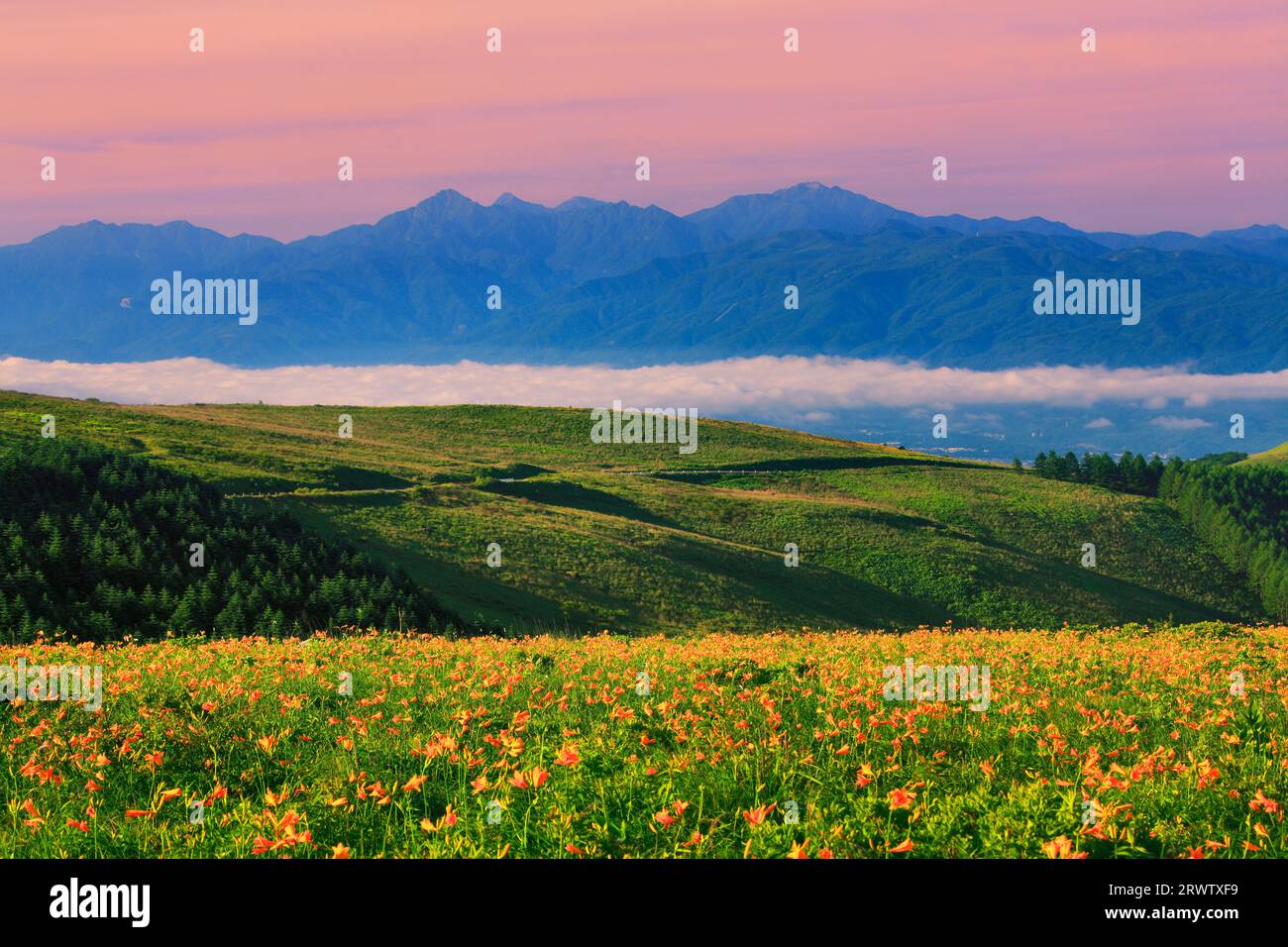 Mount kita hi-res stock photography and images - Alamy