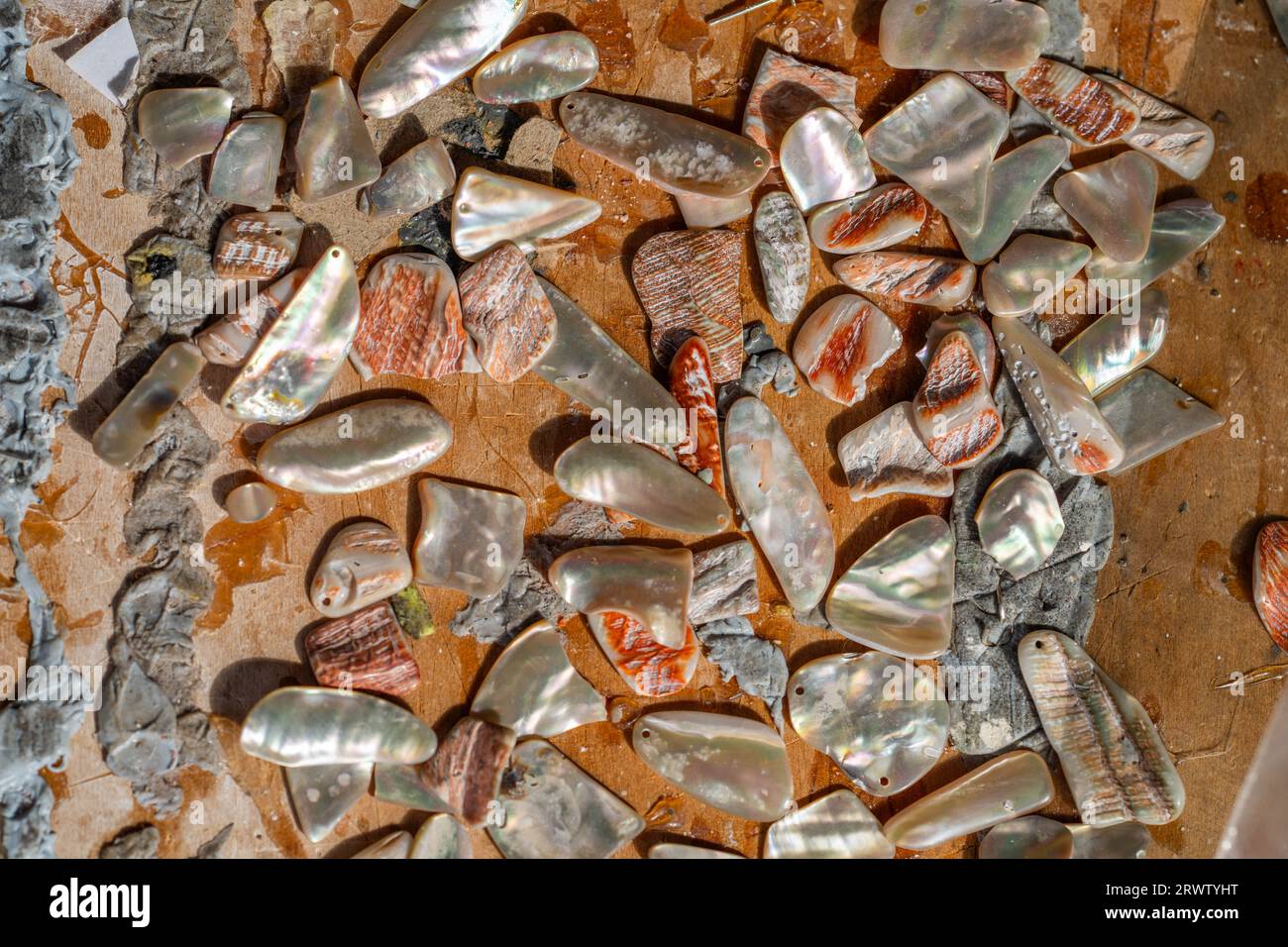 Making shell shells hi-res stock photography and images - Alamy