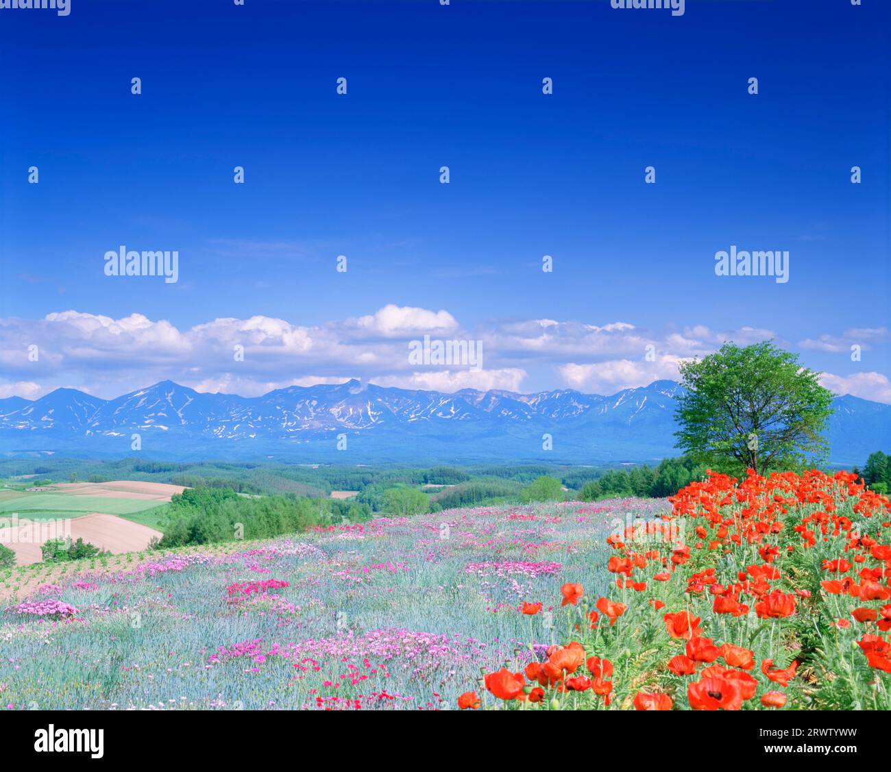 Tokachi mountain range hi-res stock photography and images - Alamy