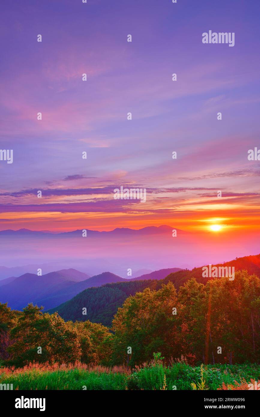 Japan summer forest asama hi-res stock photography and images - Alamy