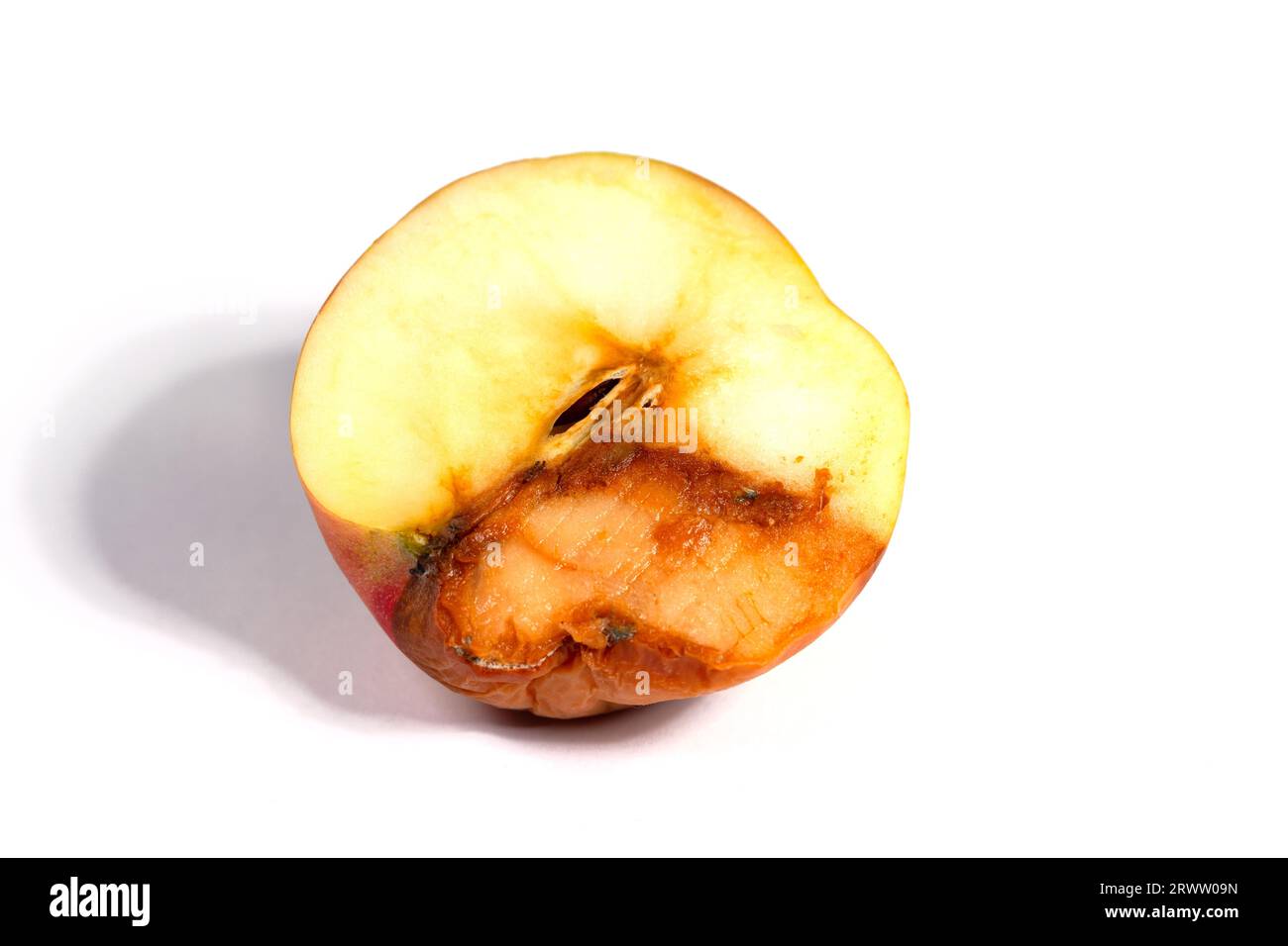 Rotting apple against white background Stock Photo - Alamy