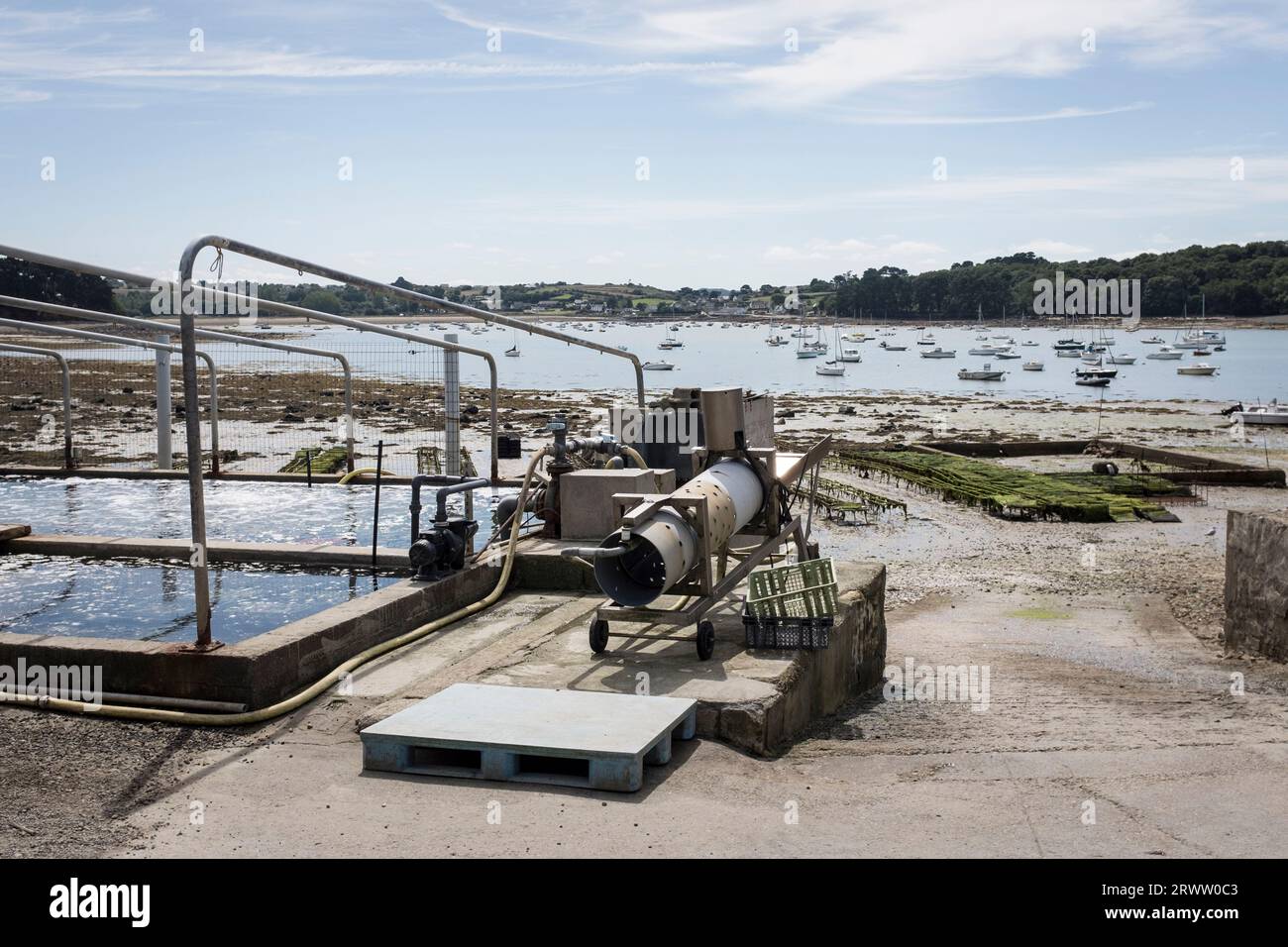 Oyster racks equipment on the shore at low tide in the Anse de Terenez ...