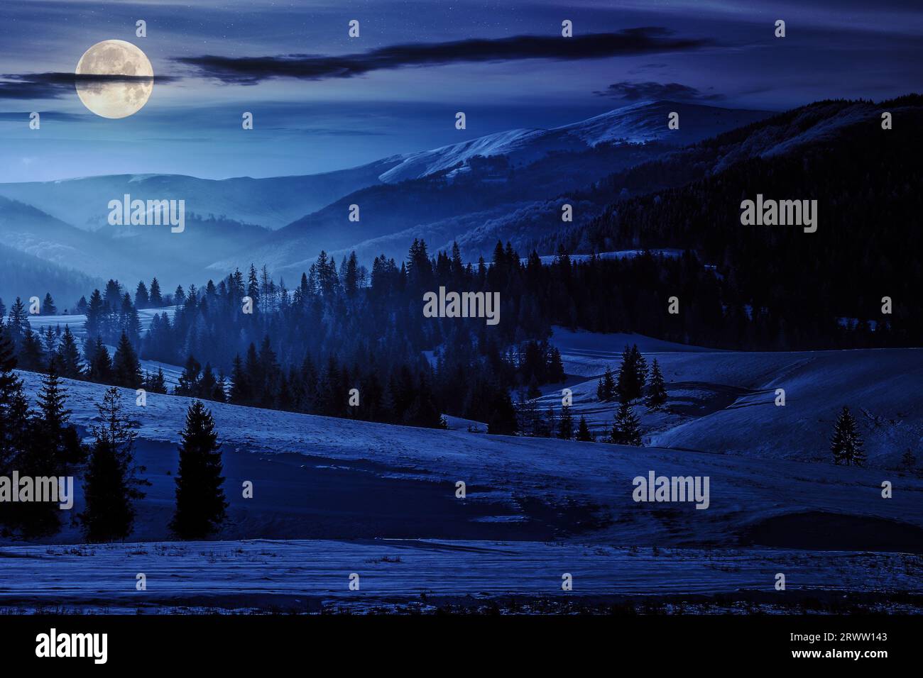 Enchanted forest moon hi-res stock photography and images - Alamy