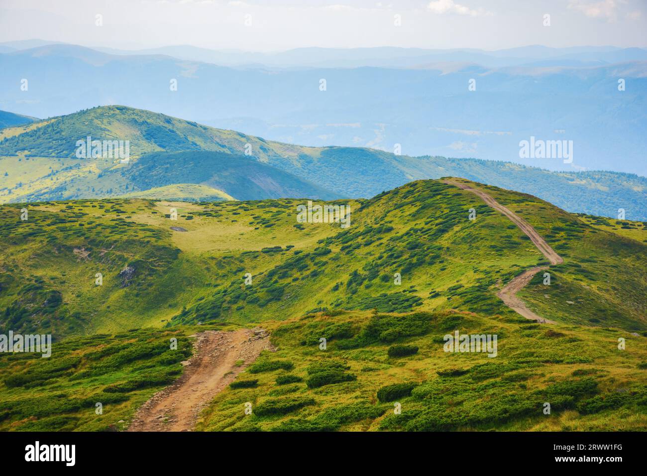 trail through chornohora mountain ridge. beautiful summer landscape ...
