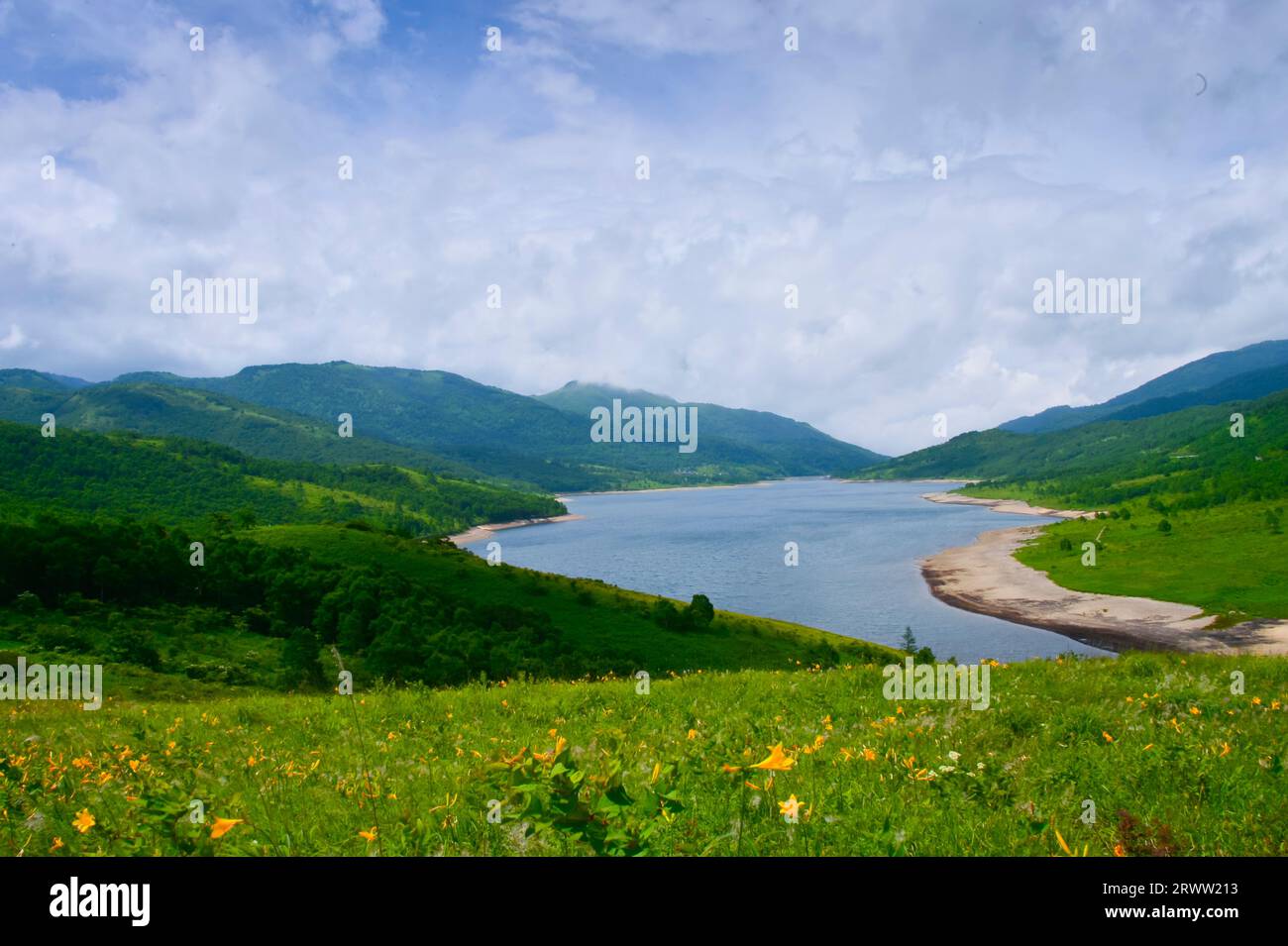 Lake Notan in bloom Stock Photo - Alamy