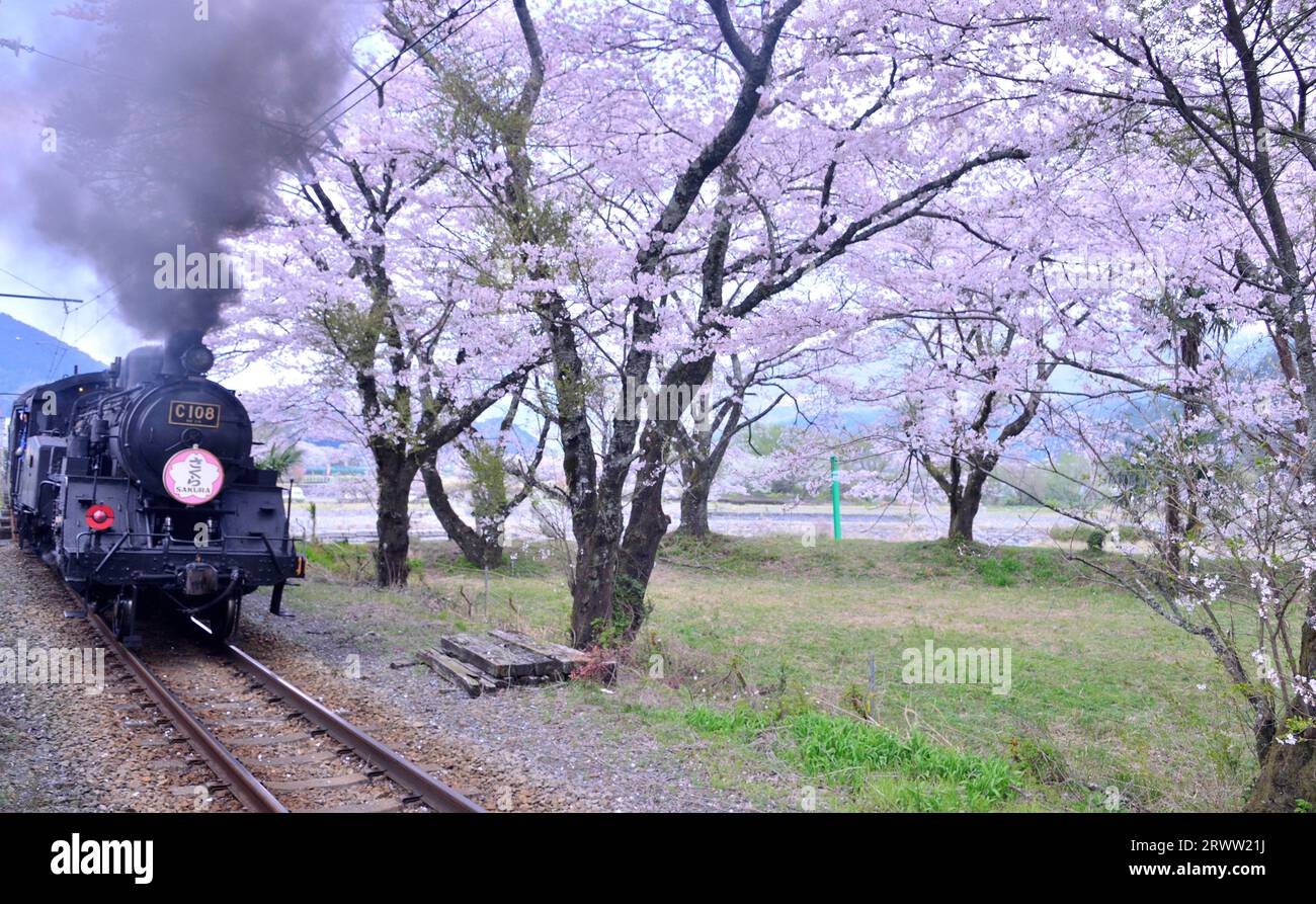 Mountains train railway tunnel hi-res stock photography and images - Alamy