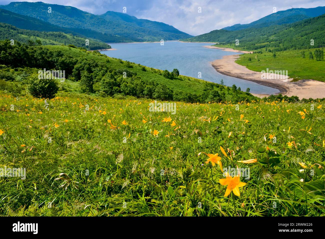 Lake Notan in bloom Stock Photo - Alamy