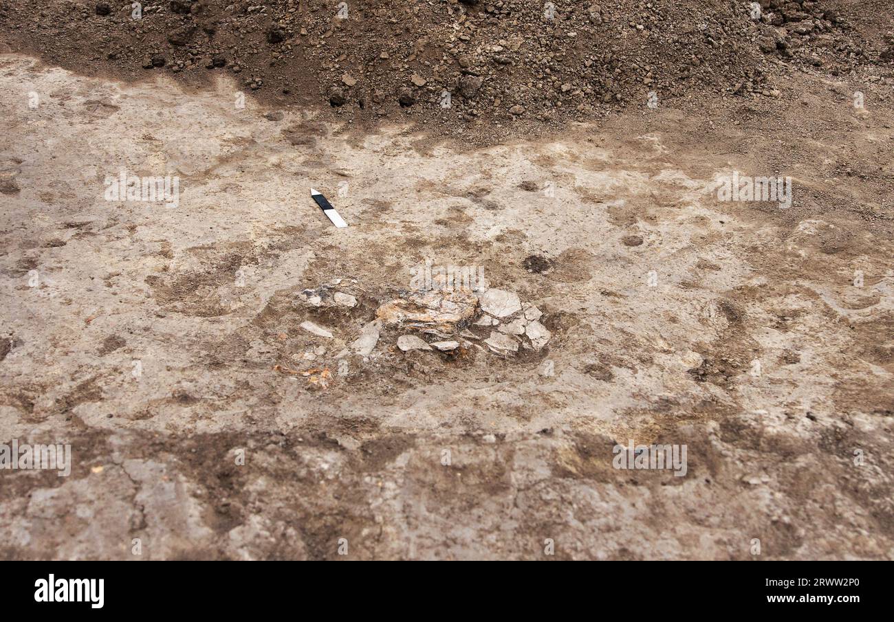 Instrument scientist hi-res stock photography and images - Alamy