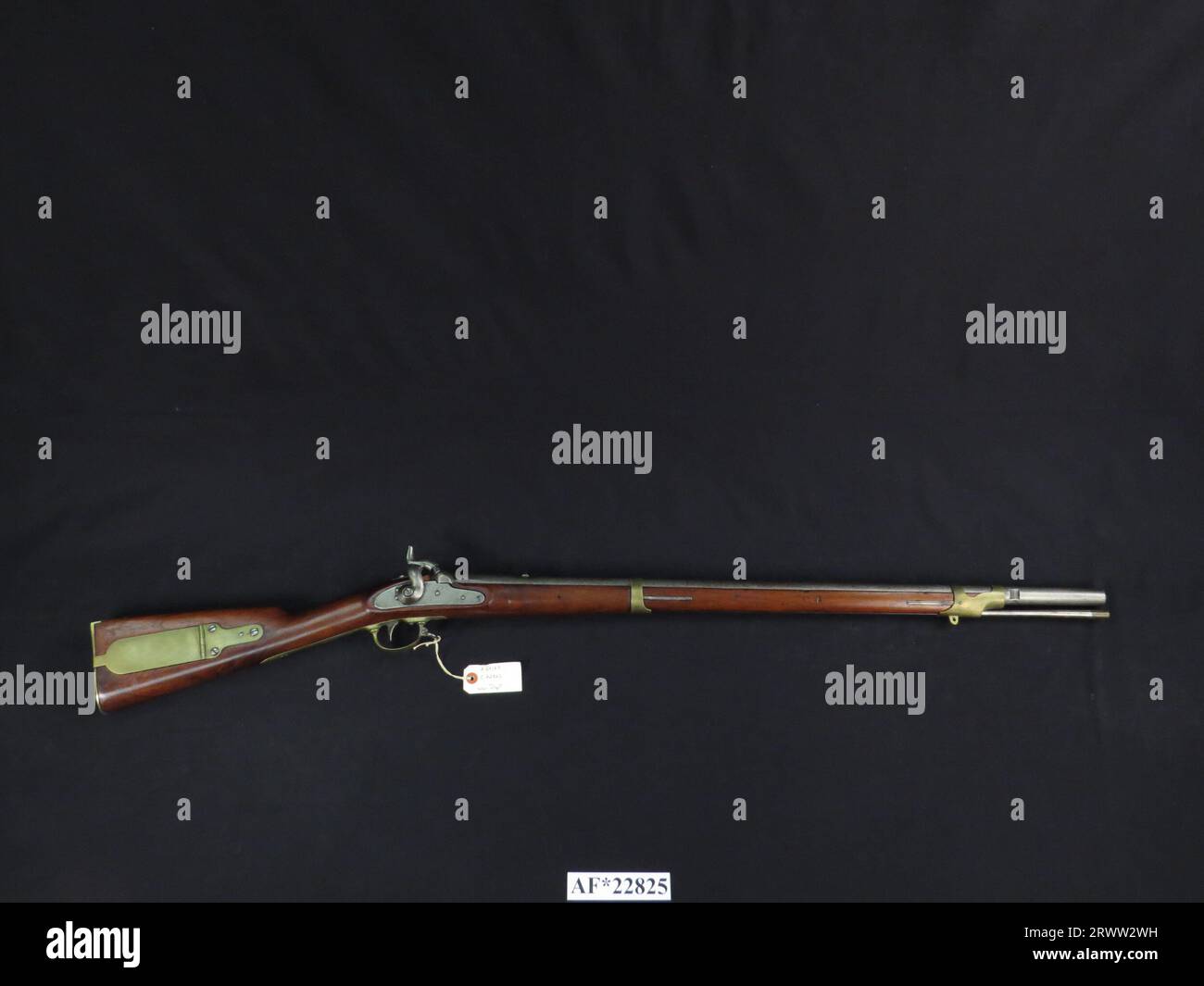 Rifle, percussion. AF*22825 Stock Photo - Alamy
