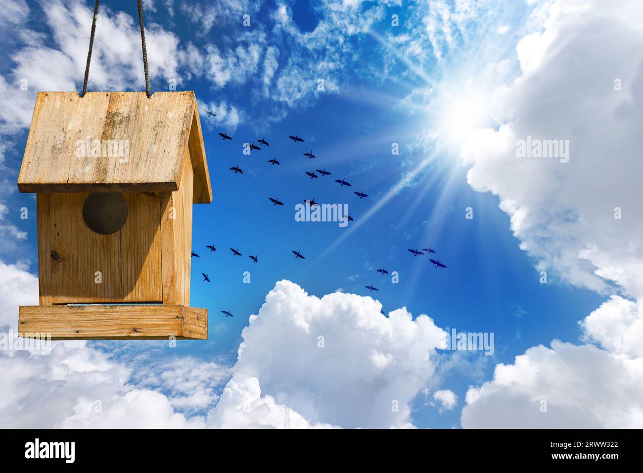 Small wooden birdhouse and a flock of birds against a beautiful blue ...